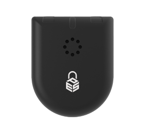 DeArm Box Tag :: Alpha High Theft Solutions